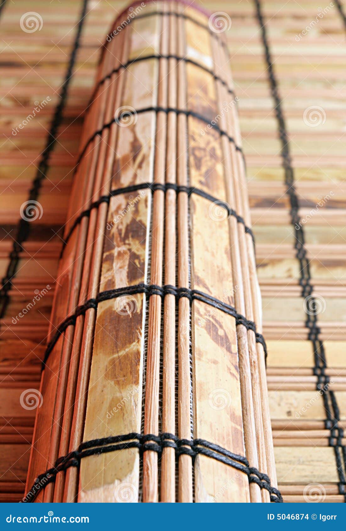 Mat stock photo. Image of domestic, hardwood, plank, tropical - 5046874