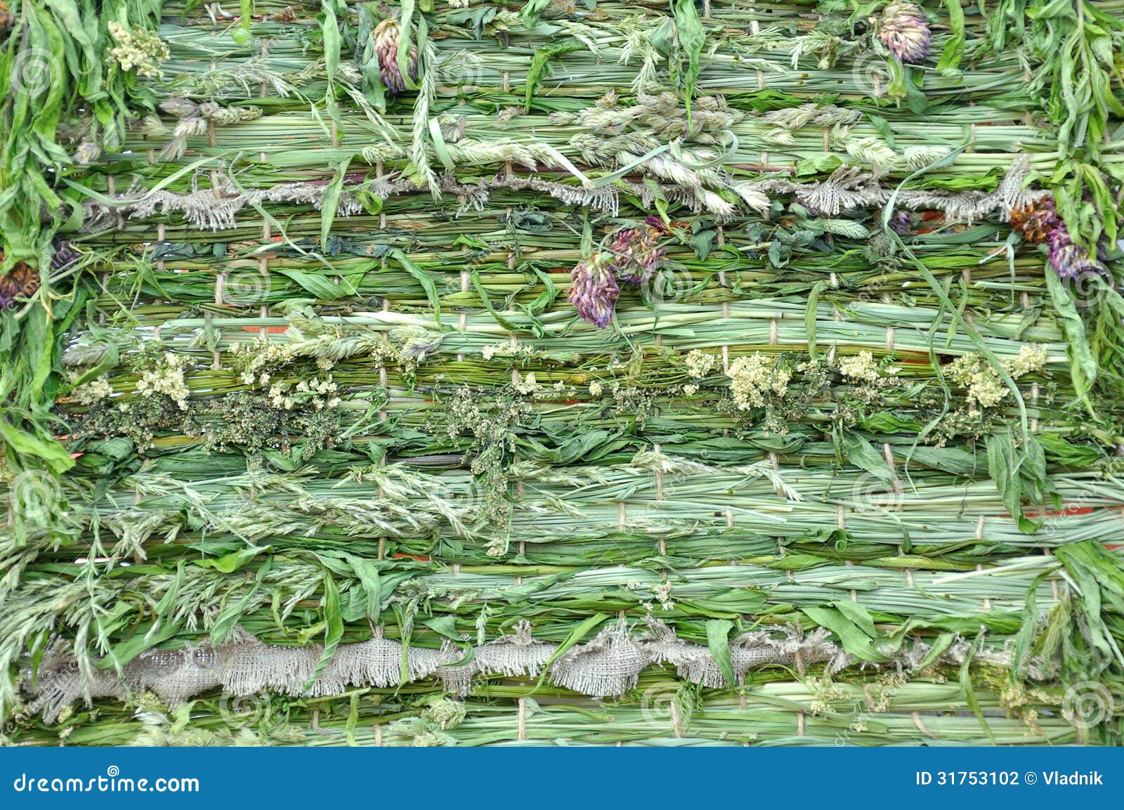 Mat of plants stock photo. Image of weaving, natural - 31753102