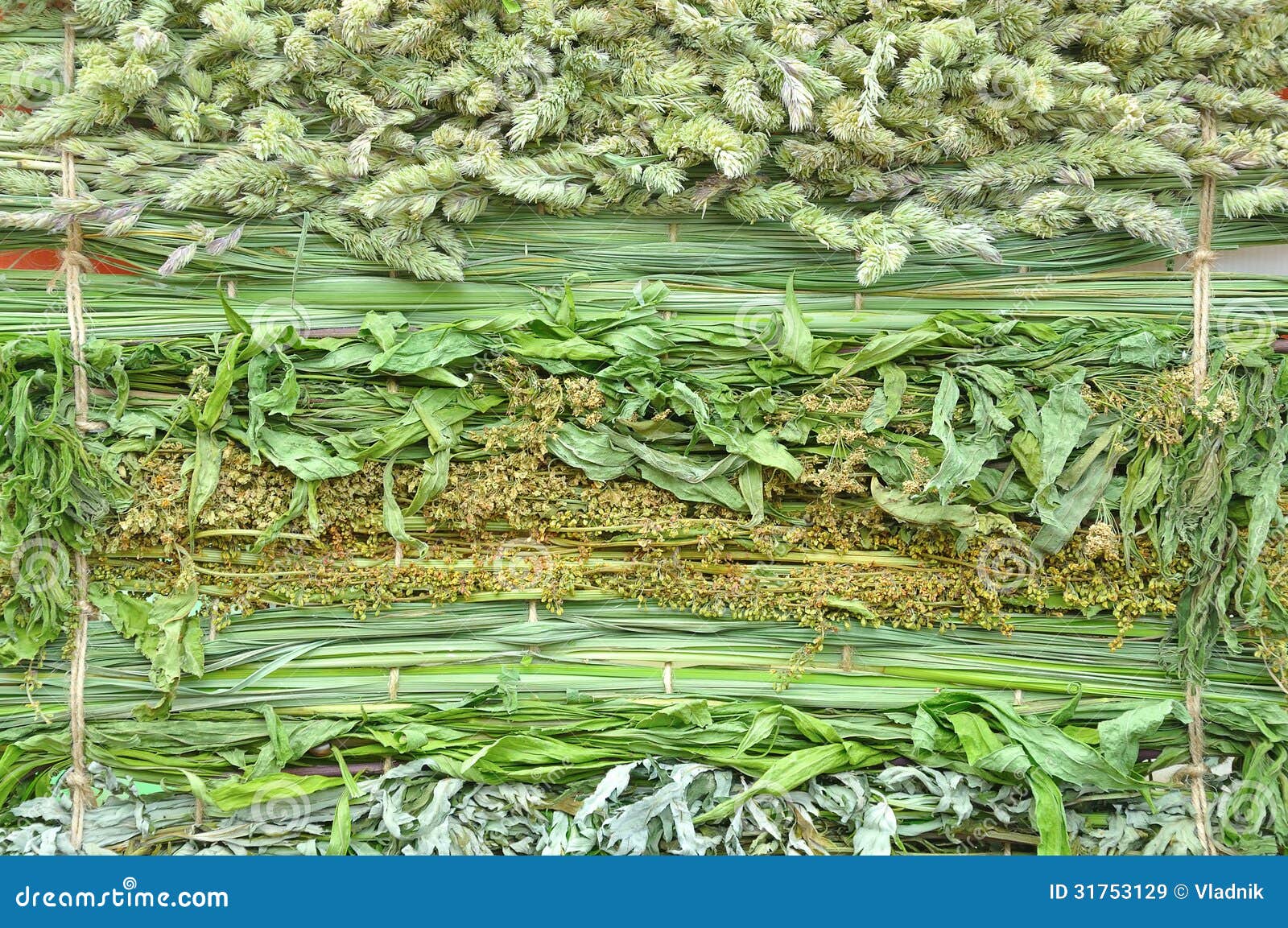 Mat of plants stock image. Image of leaves, natural, plant - 31753129