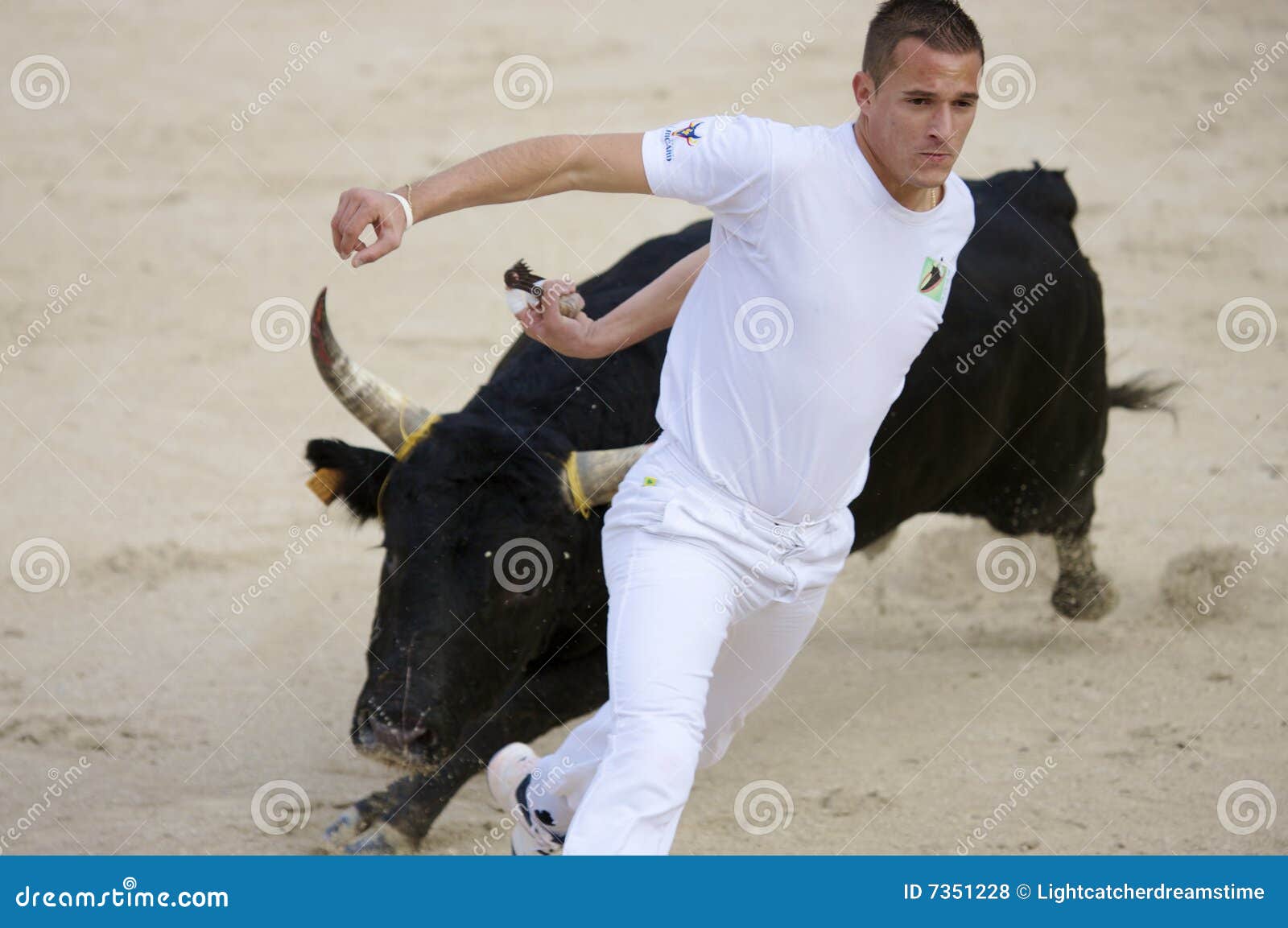 Matador editorial stock photo. Image of escape, impressive - 7351228