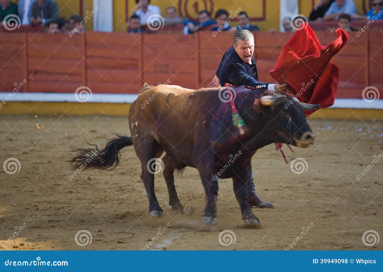 Matador E Toro Nella Corrida Fotografia Stock Editoriale - Immagine di ...