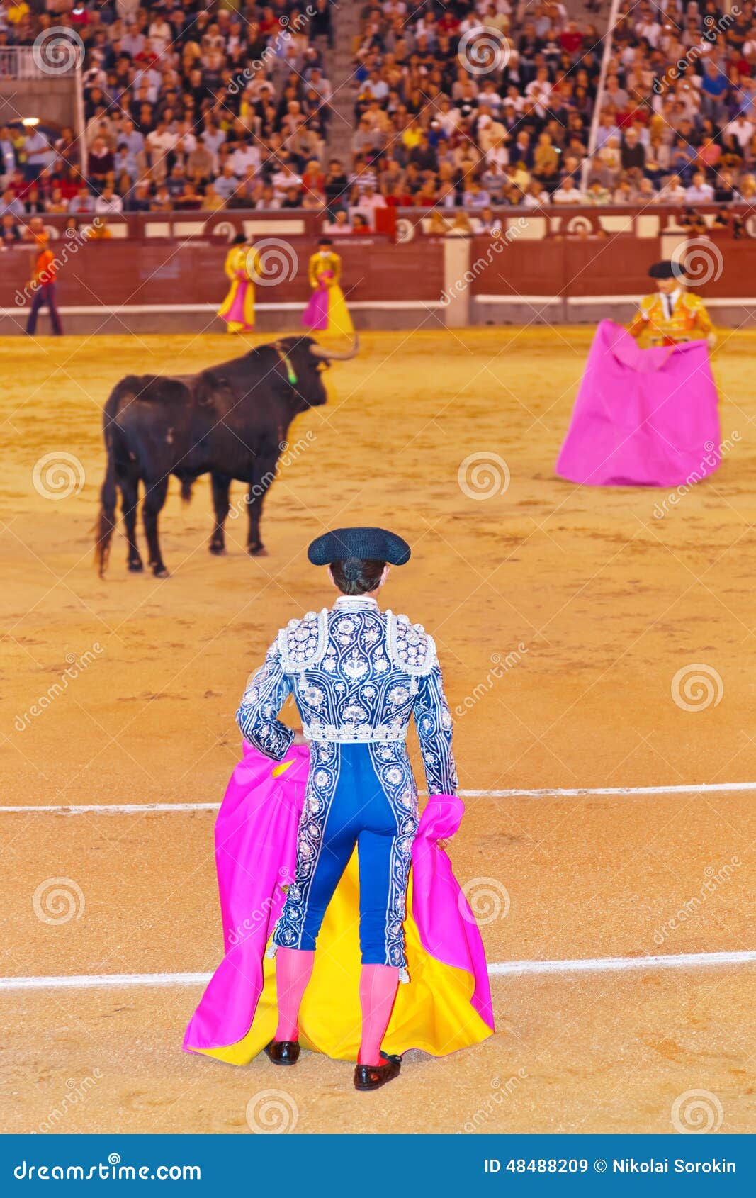 Matador E Toro Nella Tauromachia a Madrid Immagine Stock Editoriale ...