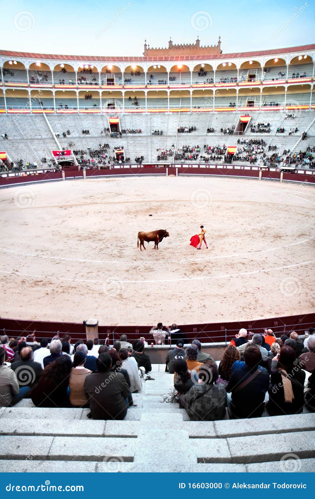 A Matador is Main Performer in Bullfighting Editorial Image - Image of ...
