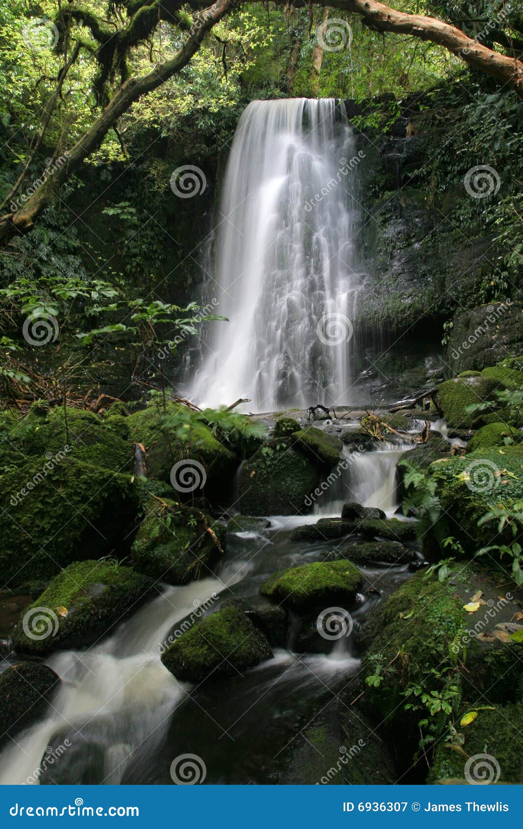 Matai falls 12 stock image. Image of river, travel, green - 6936307