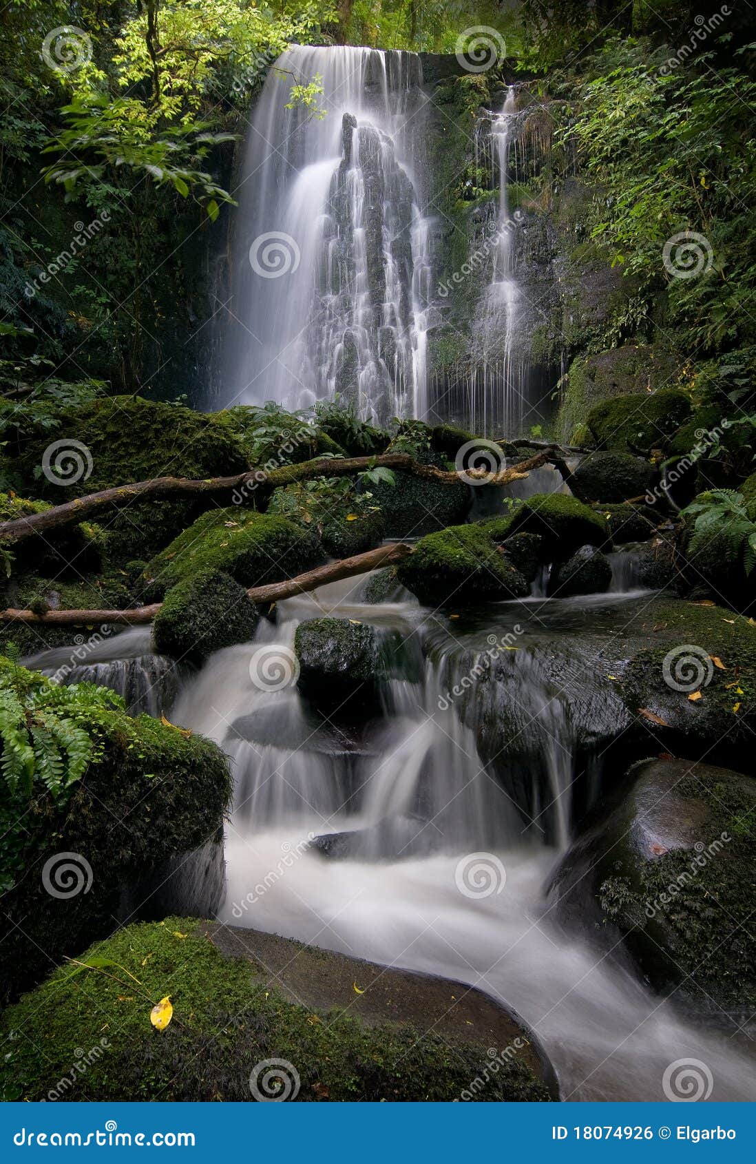 Matai Falls stock photo. Image of tropical, matai, natural - 18074926