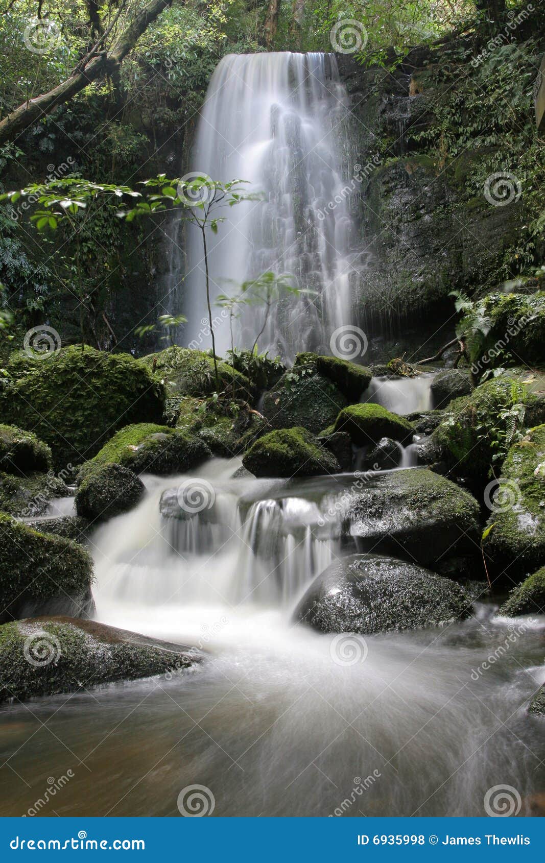Matai falls 8 stock photo. Image of fresh, holiday, travel - 6935998