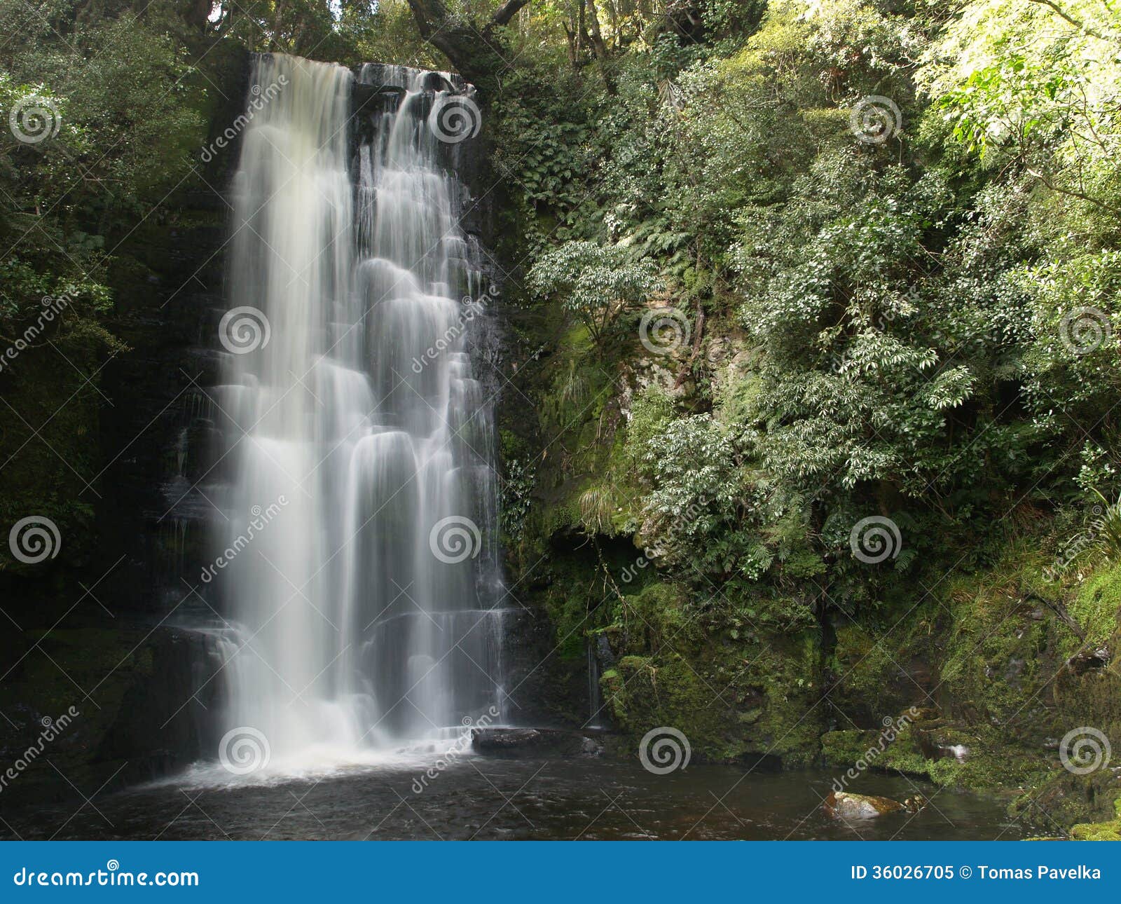 Matai falls stock image. Image of cascade, rock, forest - 36026705