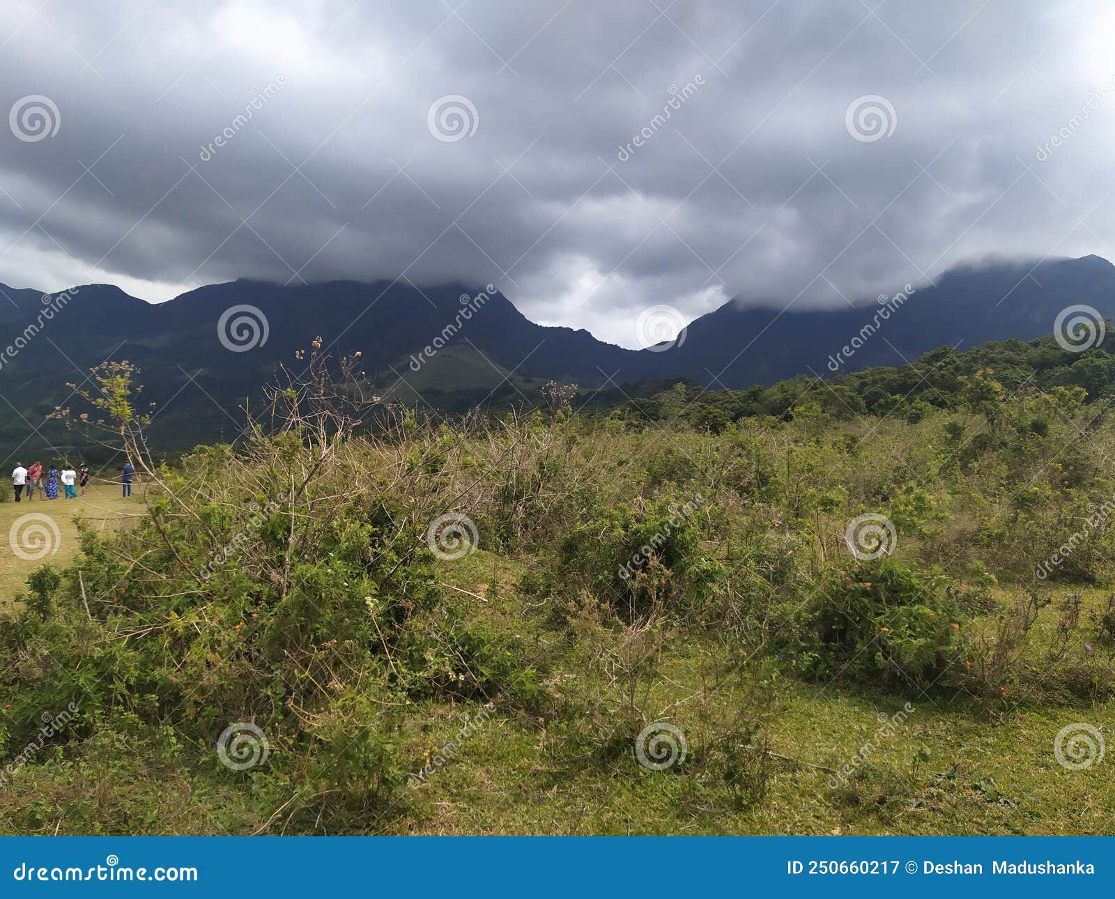 Matale Riverstan in Sri Lanka Stock Image - Image of lanka, ridge ...