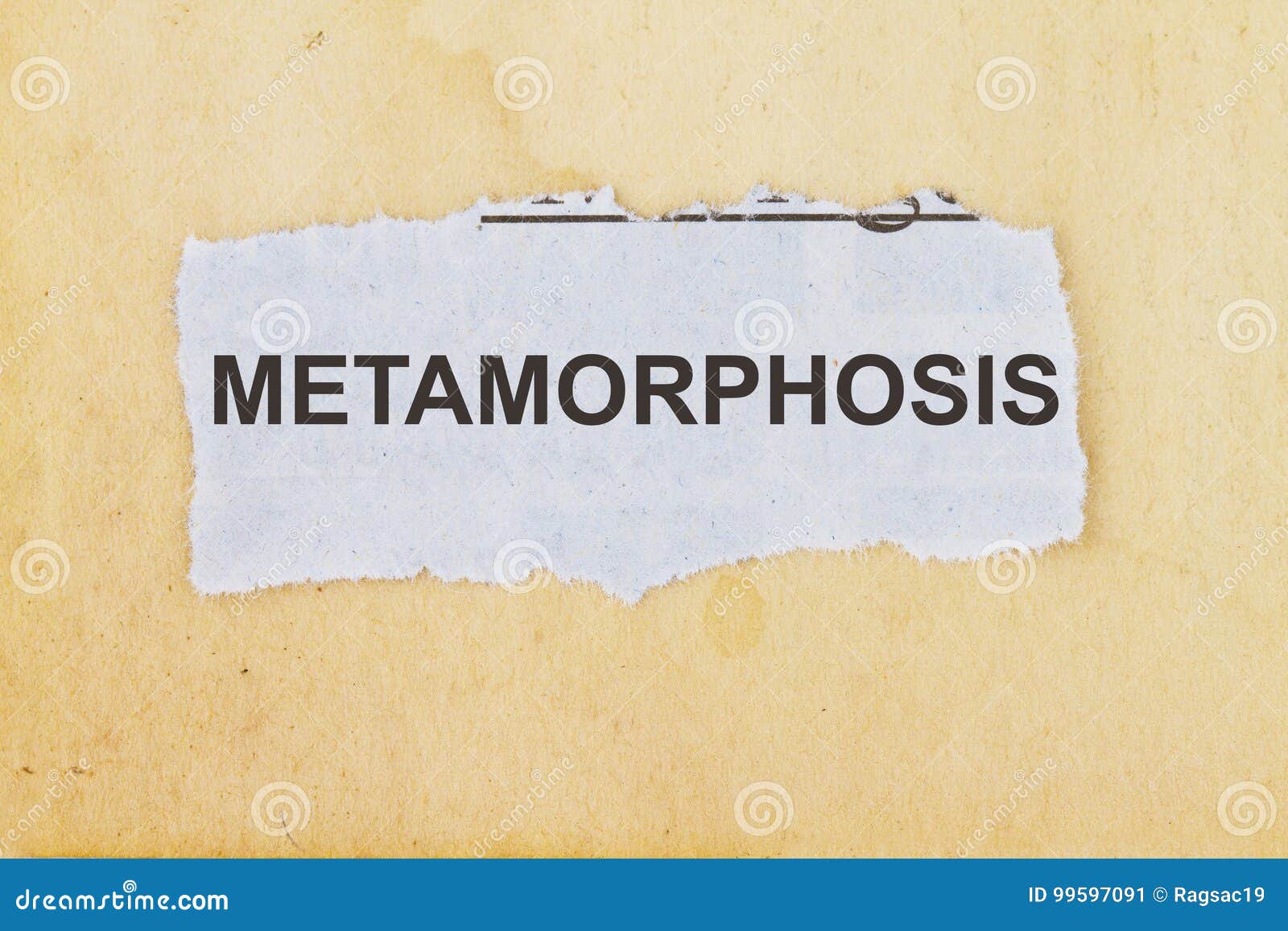 Matamorphosis a Change or Development Concept- Stock Image - Image of ...
