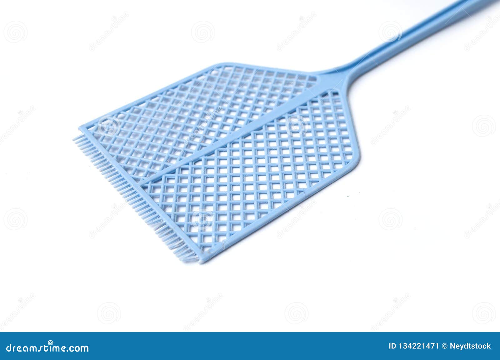 Matamoscas Azul En El Fondo Blanco Imagen de archivo - Imagen de ...