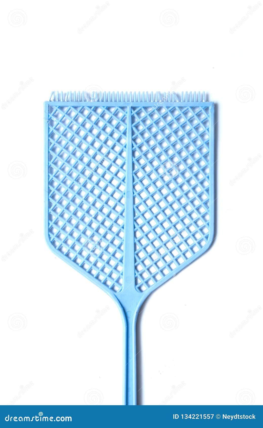 Matamoscas Azul En El Fondo Blanco Imagen de archivo - Imagen de ...