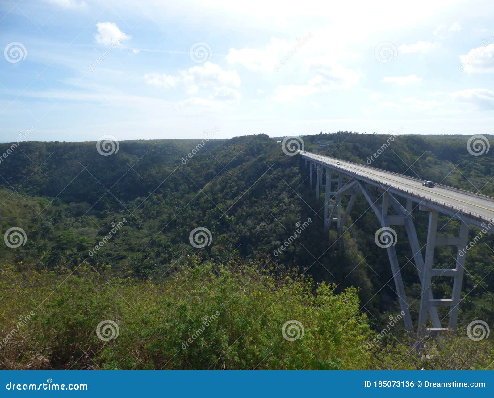 Matanzas Bridge in the Jungle Stock Photo - Image of colors, lifetime ...