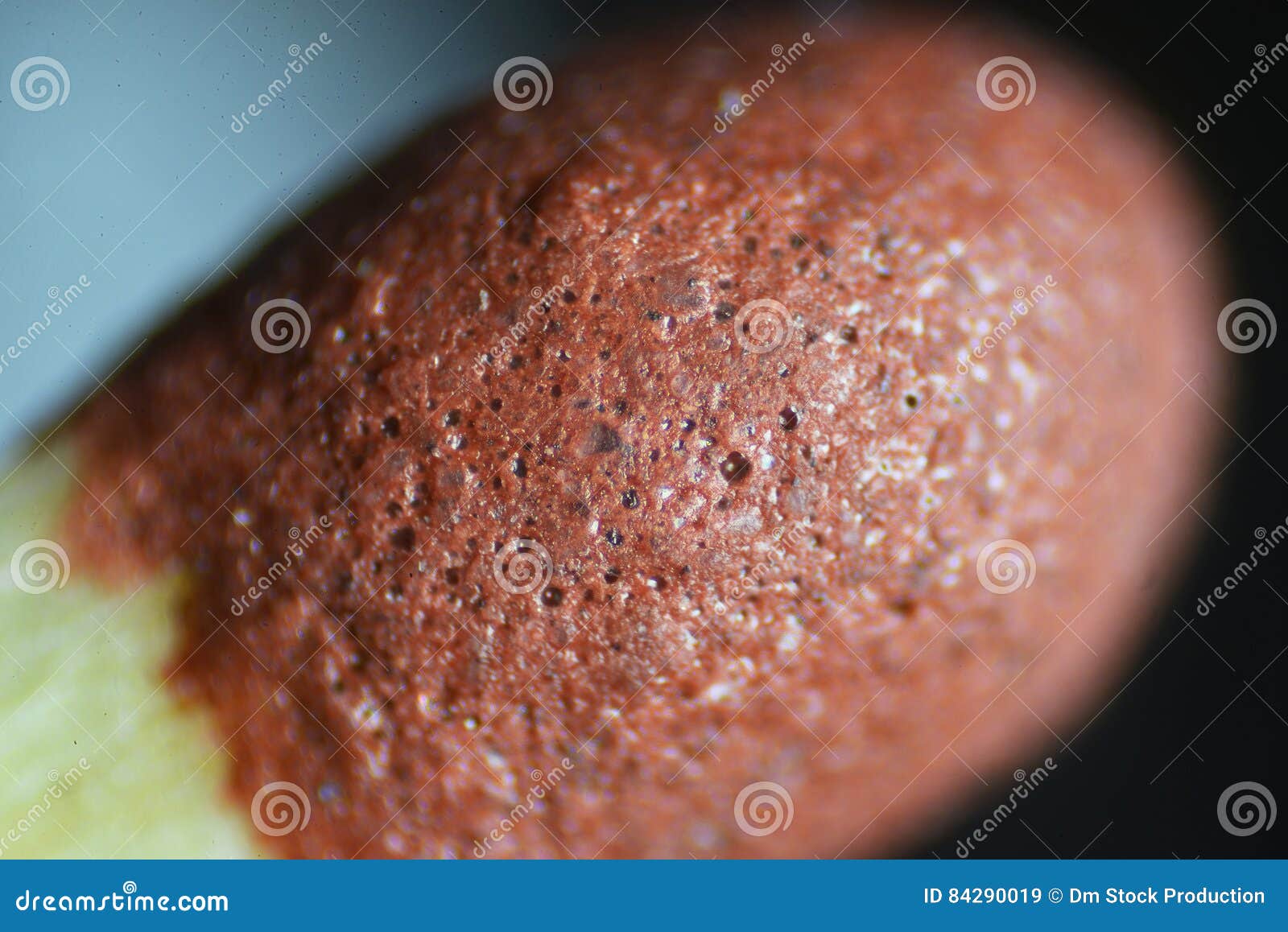 Match head. stock image. Image of match, close, magnification - 84290019