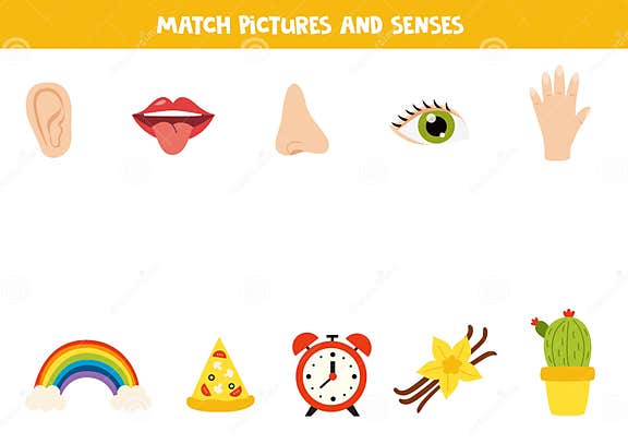 Match Objects and Senses. Five Senses Worksheet. Stock Vector ...