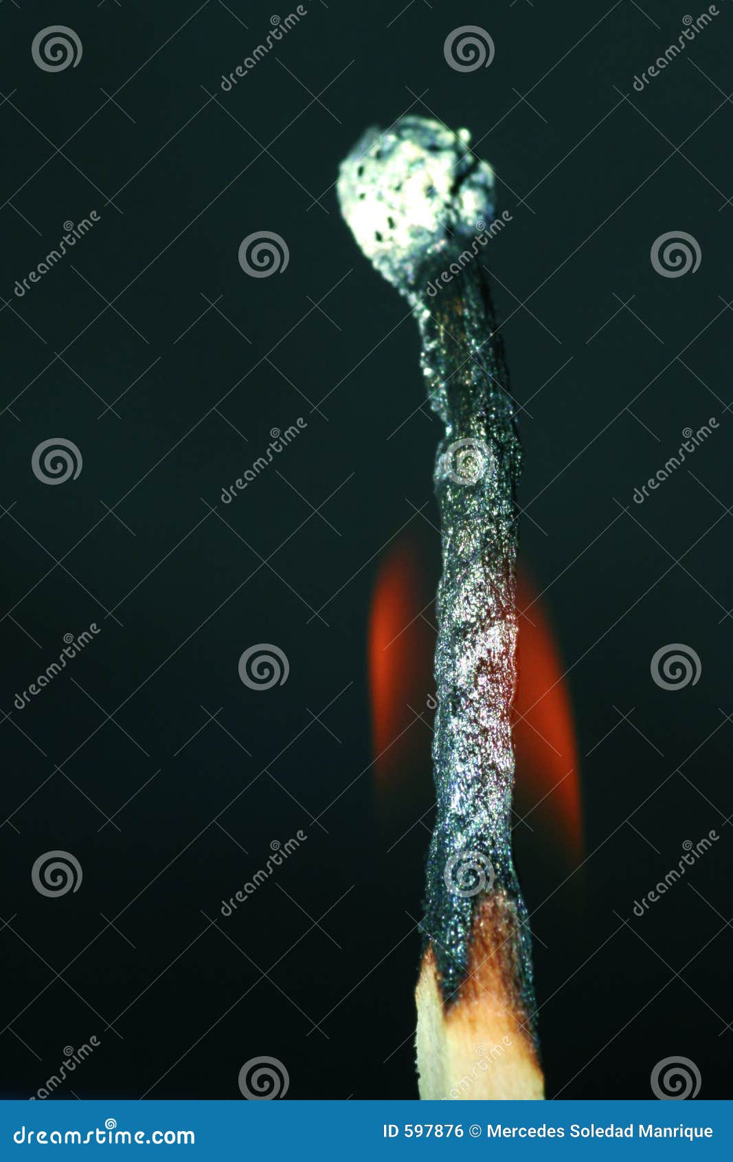 Cigarette Put Out Stock Photos - Free & Royalty-Free Stock Photos from ...