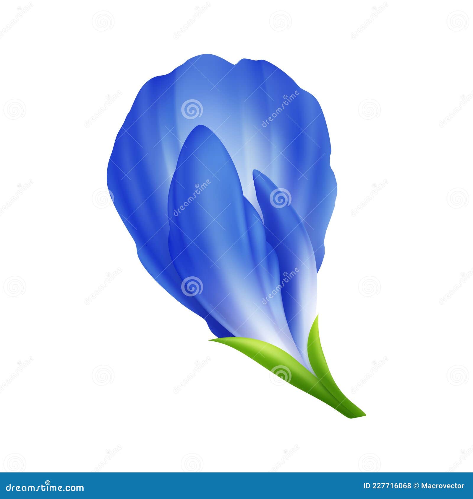 Matcha Flower Realistic Composition Stock Vector - Illustration of ...