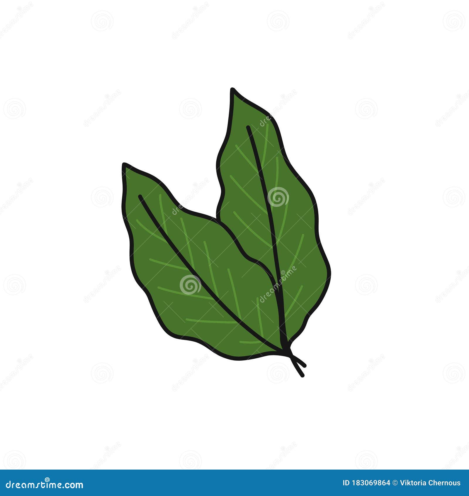 Matcha Tea Leaves Doodle Icon, Vector Illustration Stock Illustration ...