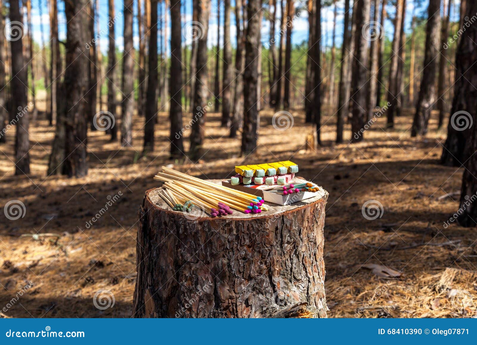 Matches trees forest stock photo. Image of light, detail - 68410390