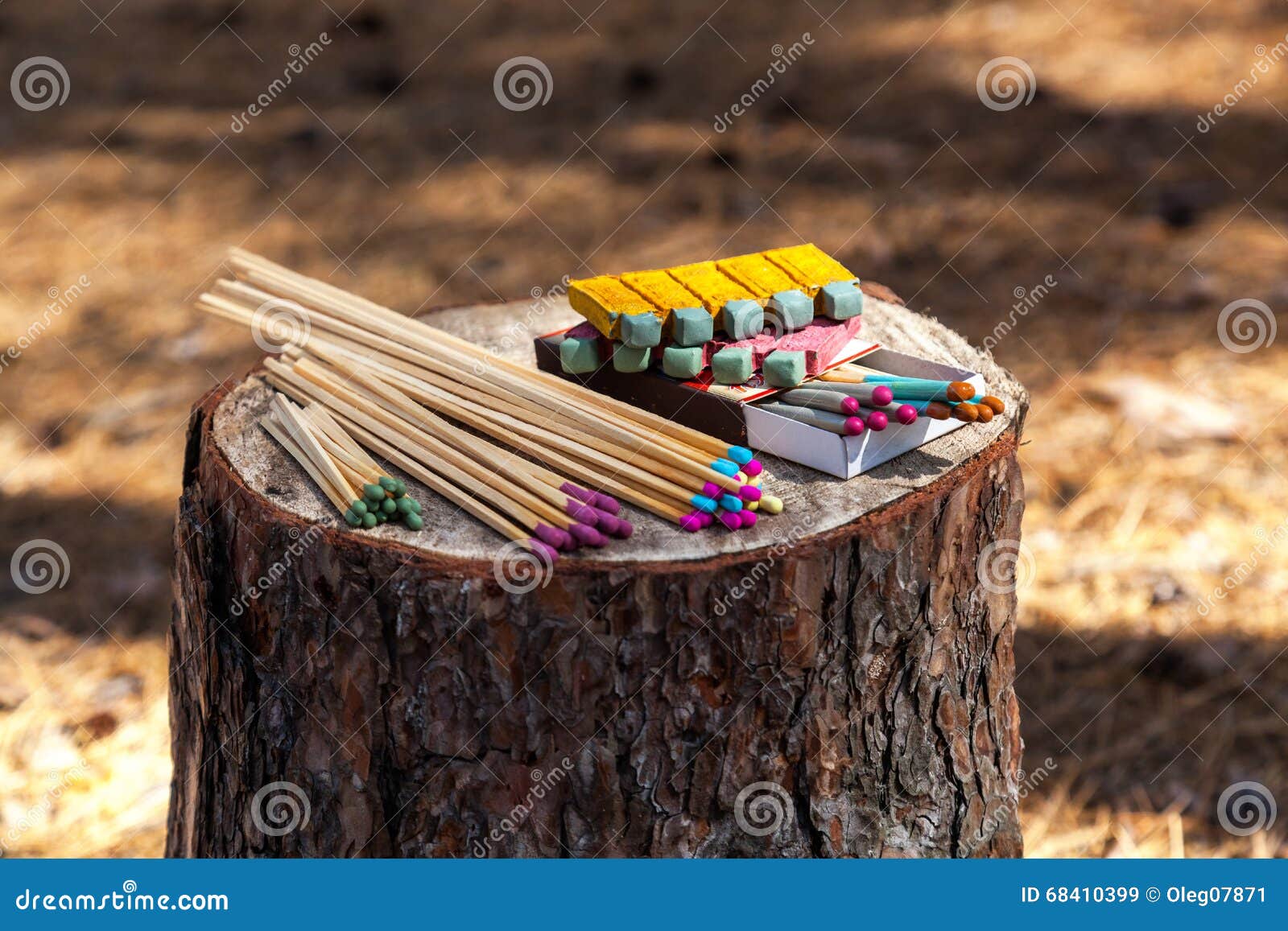 Matches trees forest stock image. Image of detail, light - 68410399