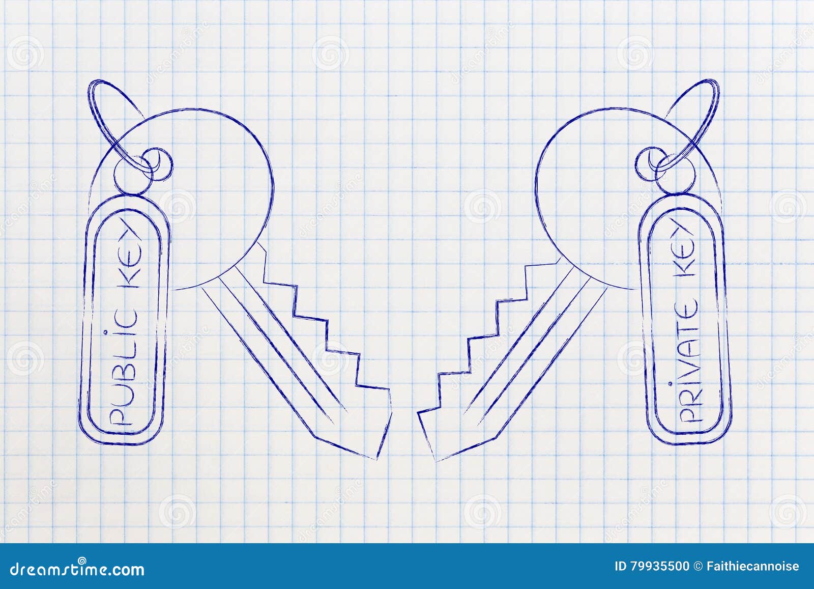 Matching Private & Public Keys, Encryption Algorithms Concept Stock ...