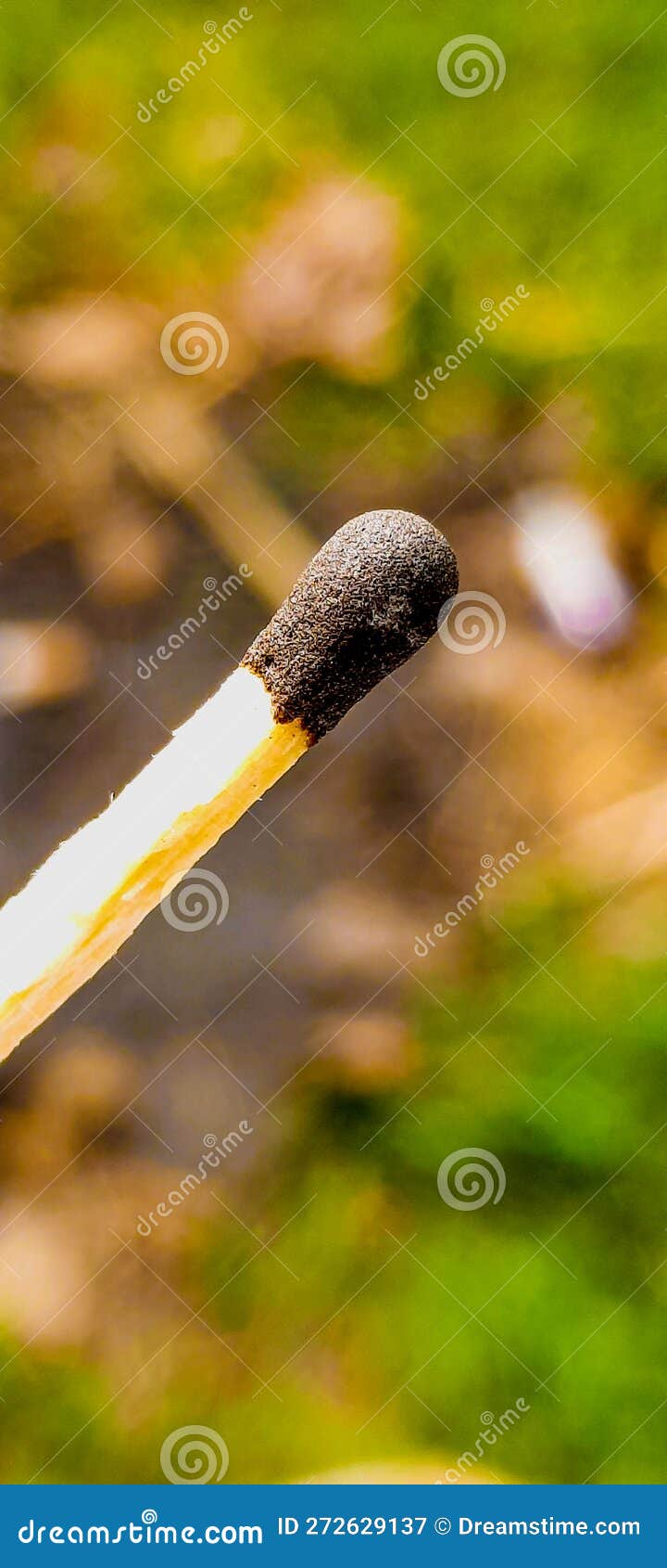 Matchstick stock image. Image of firematchstick, ready - 272629137