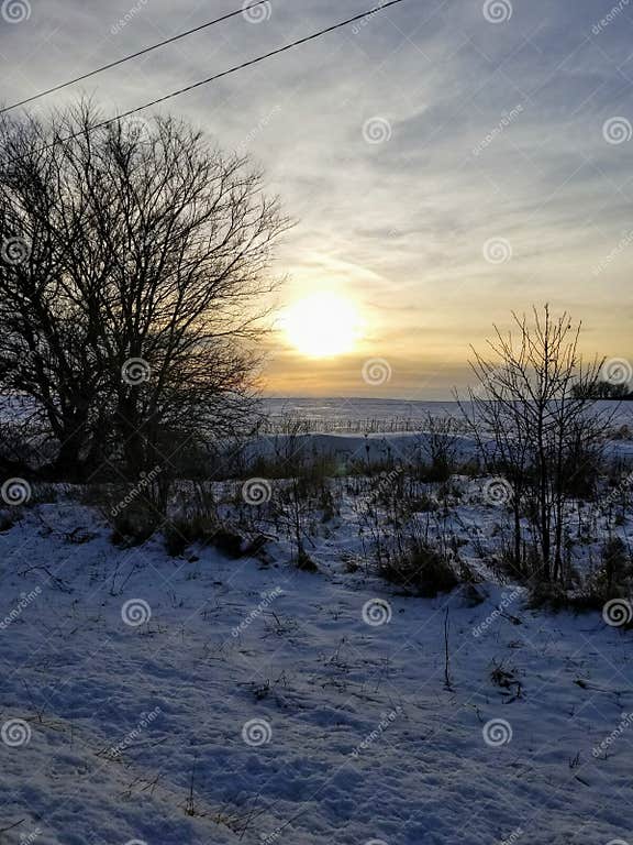 Matchstick Tree in the Snow Stock Photo - Image of sunlight, sunset ...