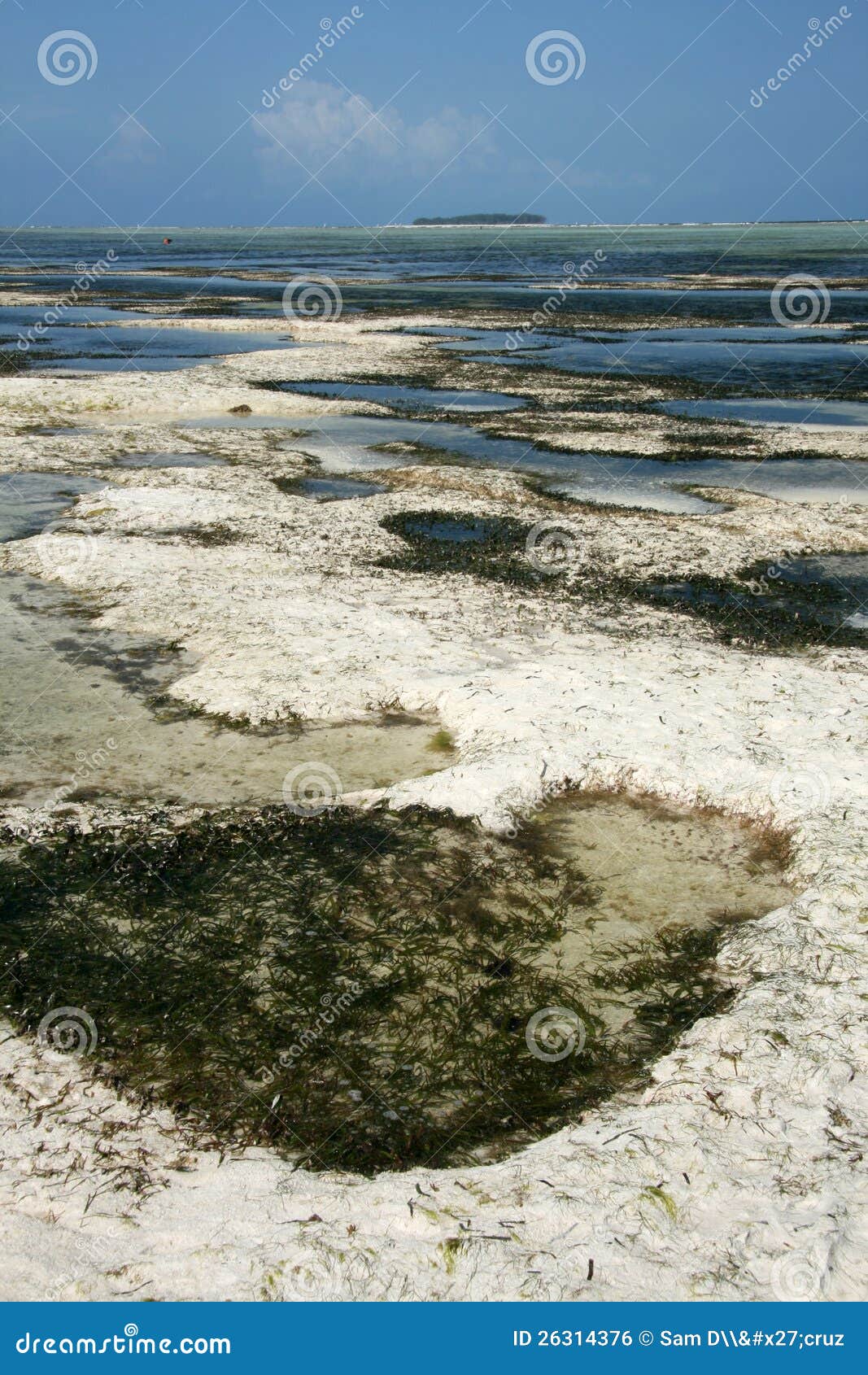 Matemwe Beach, Zanzibar stock photo. Image of africa - 26314376