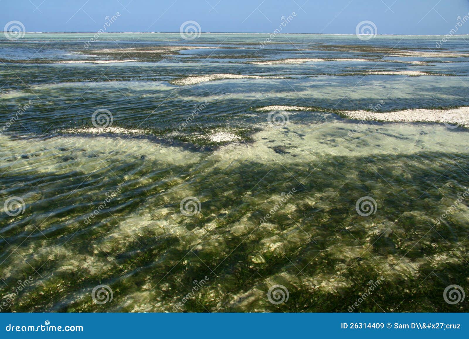 Matemwe Beach, Zanzibar stock image. Image of vacation - 26314409