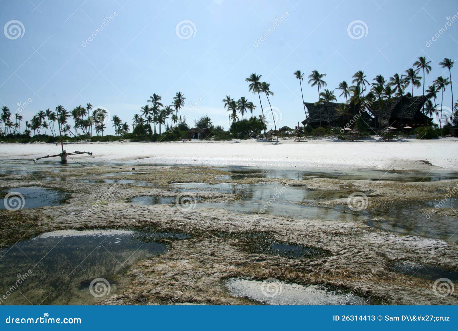 Matemwe Beach, Zanzibar stock image. Image of matemwe - 26314413