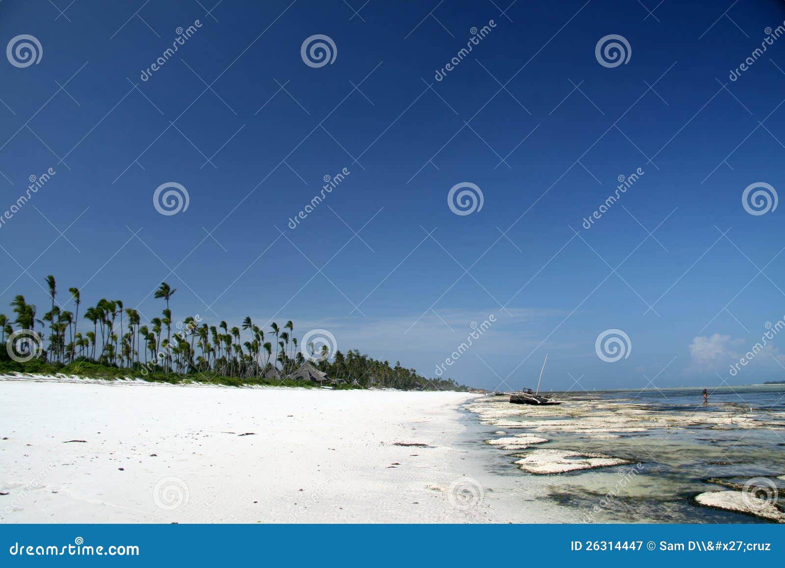Matemwe Beach, Zanzibar stock image. Image of matemwe - 26314447