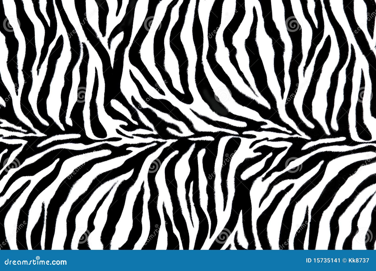 Materia textil de la cebra imagen de archivo. Imagen de blanco - 15735141