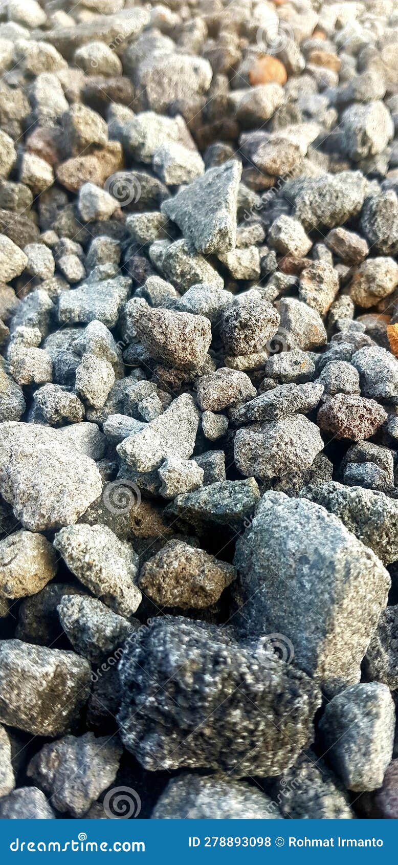 Material coral stone stock photo. Image of coral, natural - 278893098