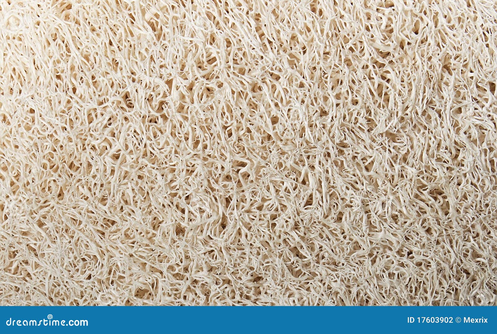 517 Material De La Estopa Fotos - Libres de Derechos y Gratuitas de ...