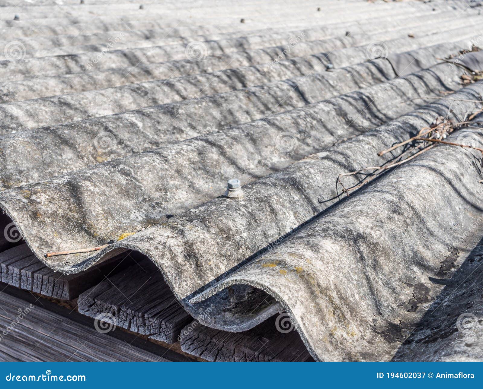 Material Peligroso Para El Techo De Amianto Imagen de archivo - Imagen ...