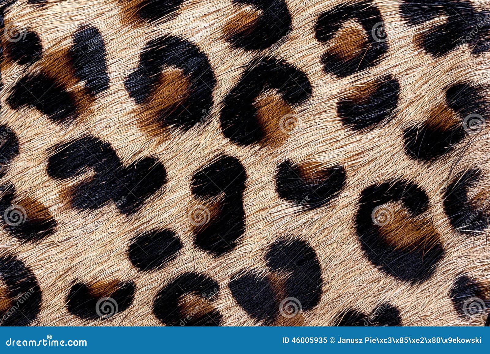 Materiale Nel Modello Della Pelle Animale, Un Fondo Immagine Stock ...