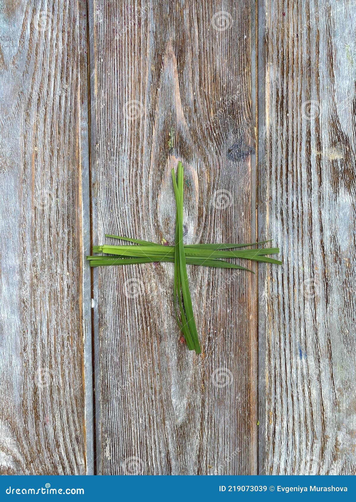 Mathematical Figures Made of Natural Material, Grass and Flowers. Stock ...