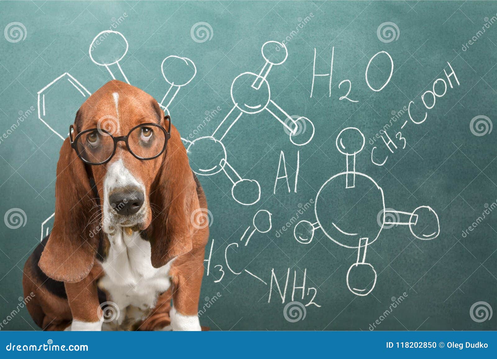 Math stock photo. Image of genius, learn, intelligent - 118202850