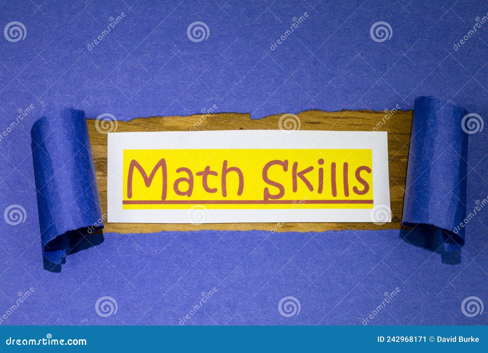 Math Skills School Education Student Mathematics Study Stock Image ...