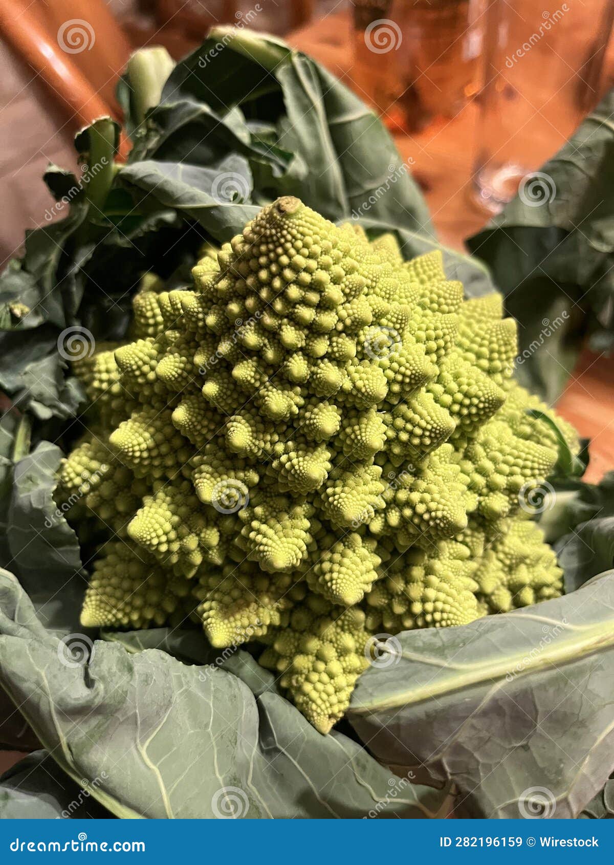 Mathematical Broccoli, Math, Romanesco Variety Stock Illustration ...