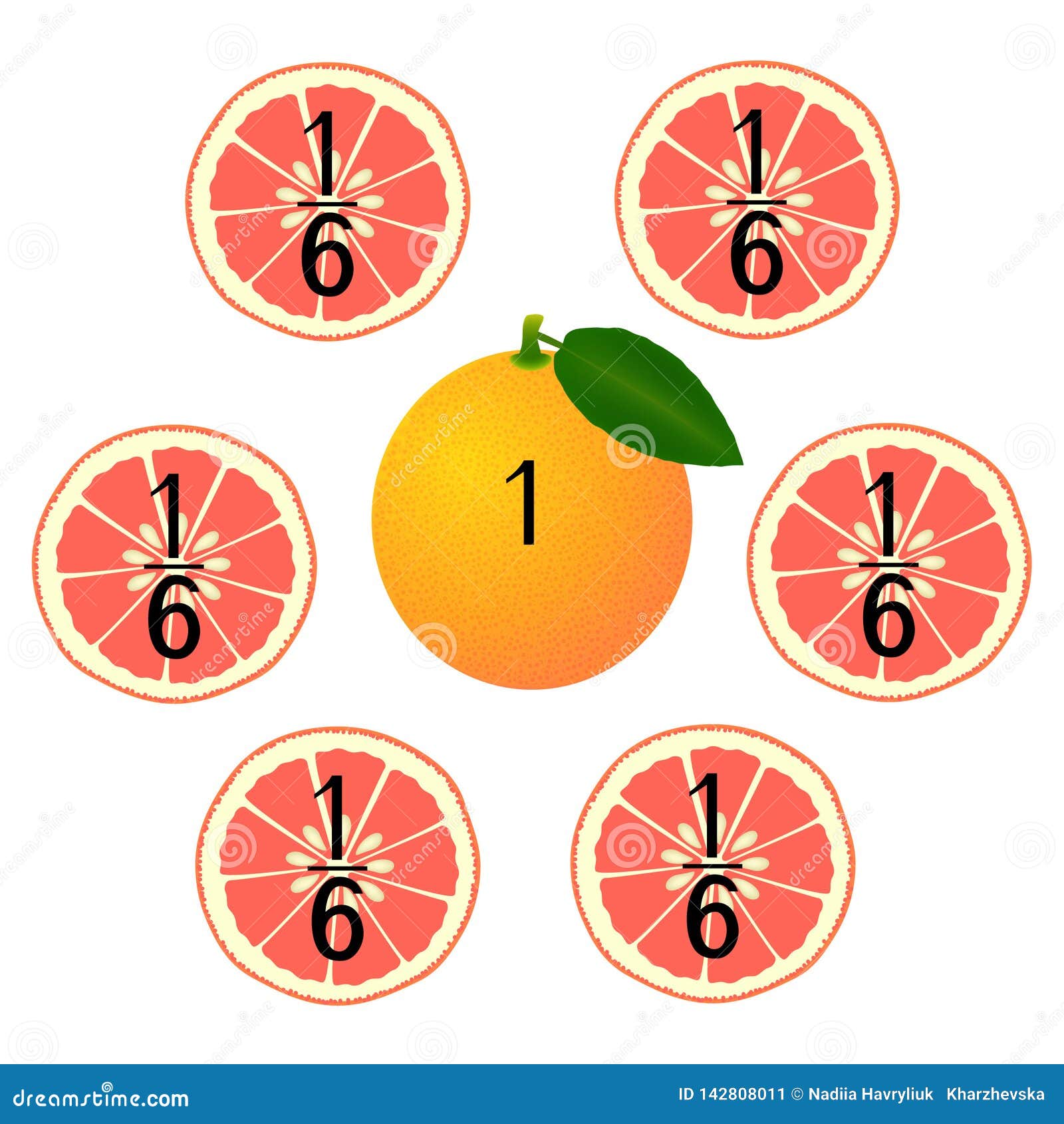 Mathematical Study Setup With Calculators And Graphing Tools Royalty ...