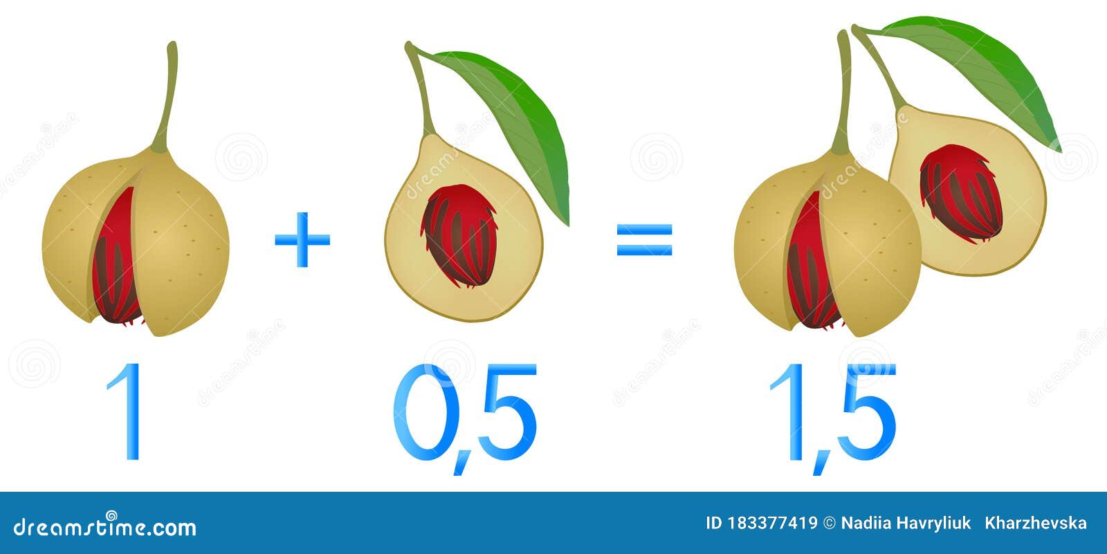 Mathematical Study Setup With Calculators And Graphing Tools Royalty ...