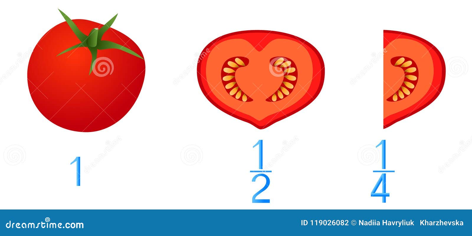 Mathematical Study Setup With Calculators And Graphing Tools Royalty ...