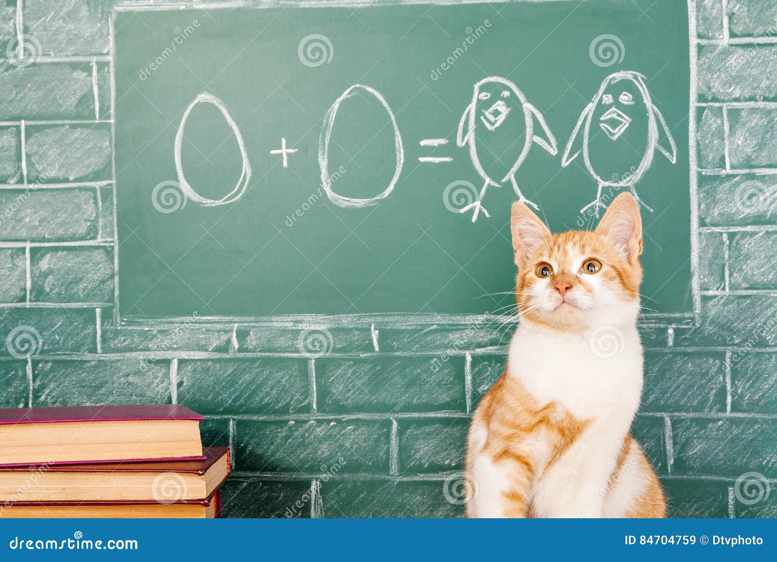 Mathematics stock image. Image of chalkboard, knowledge - 84704759