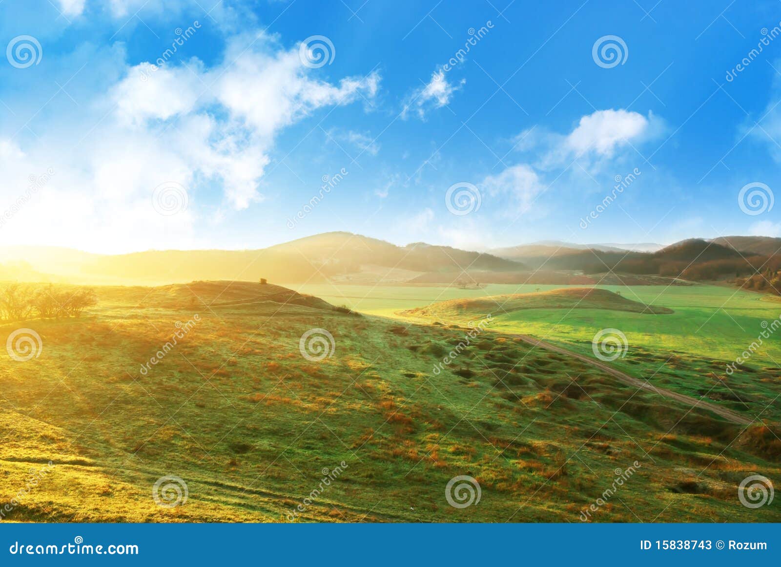 Matin image stock. Image du nature, côte, herbe, beau - 15838743