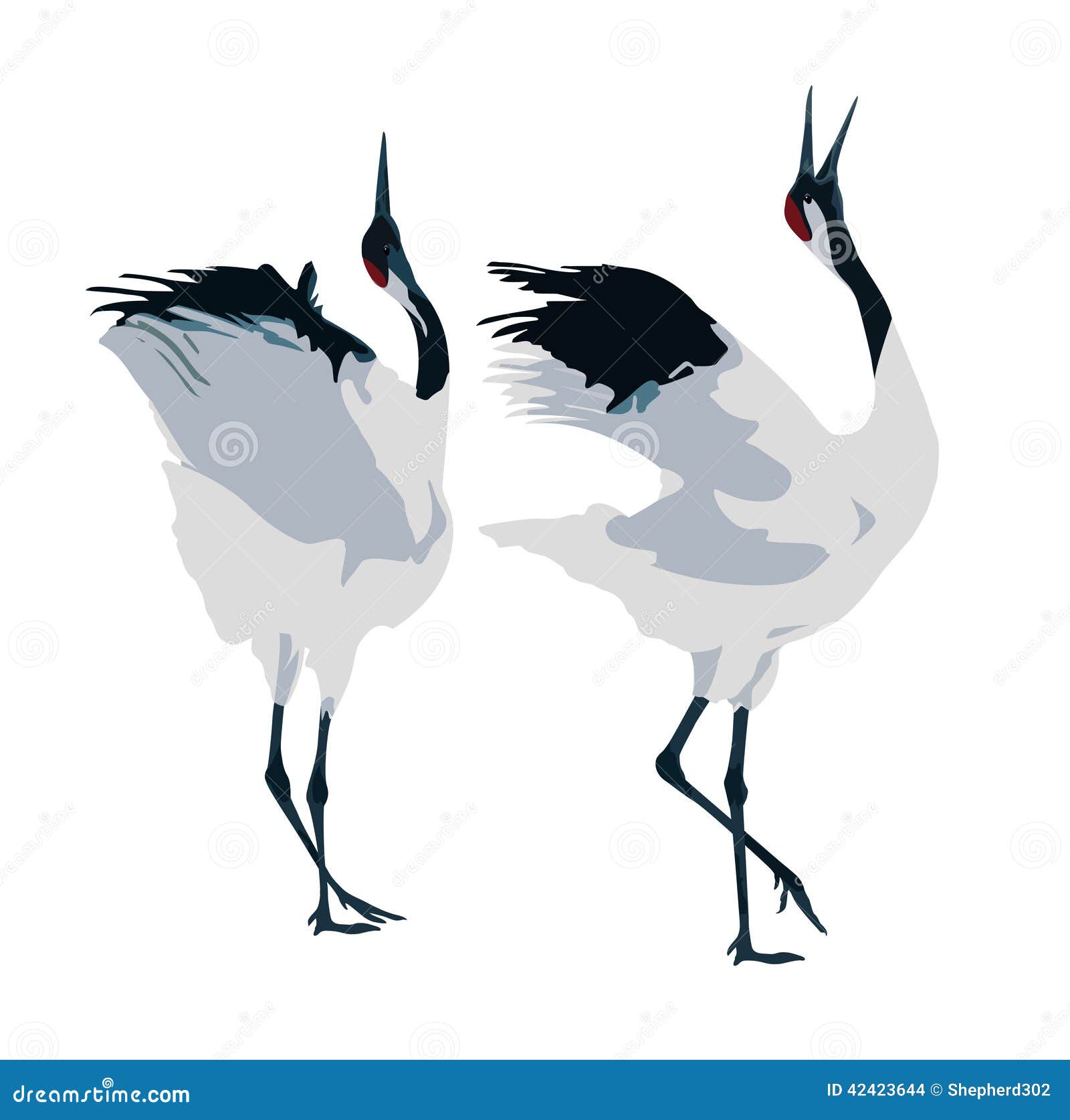 Cranes Dancing Stock Illustrations – 105 Cranes Dancing Stock ...