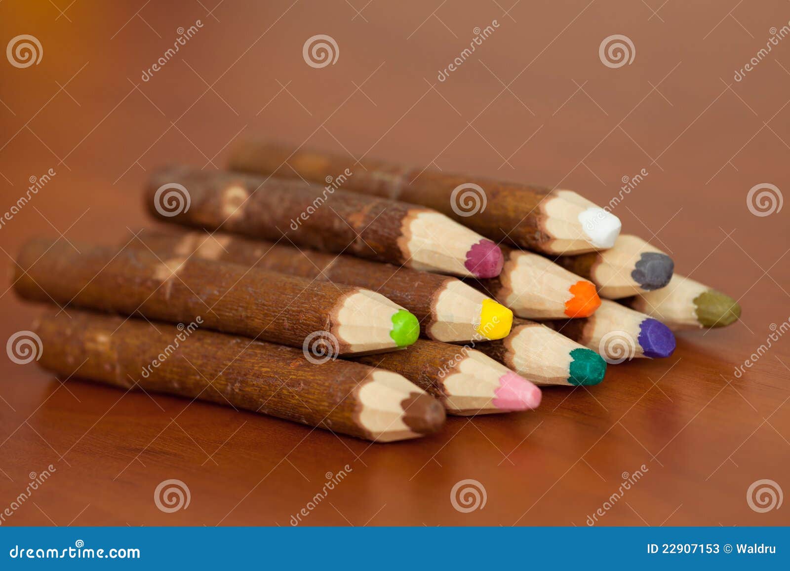 Matite Colorate Fatte Dalla Corteccia Di Legno Immagine Stock ...