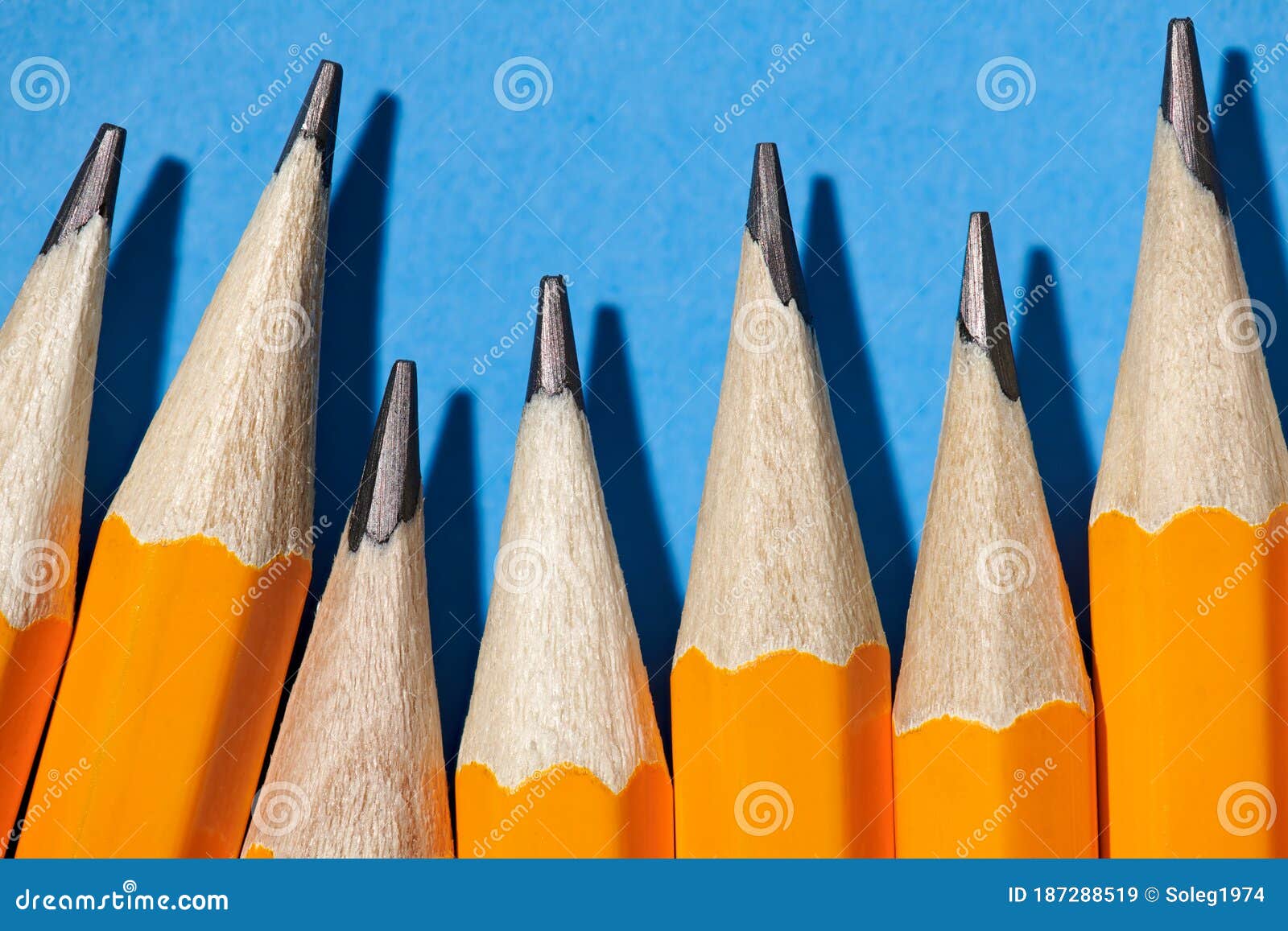 Matite Di Grafite Su Sfondo Blu Macro Scuole E Materiale Per Ufficio ...