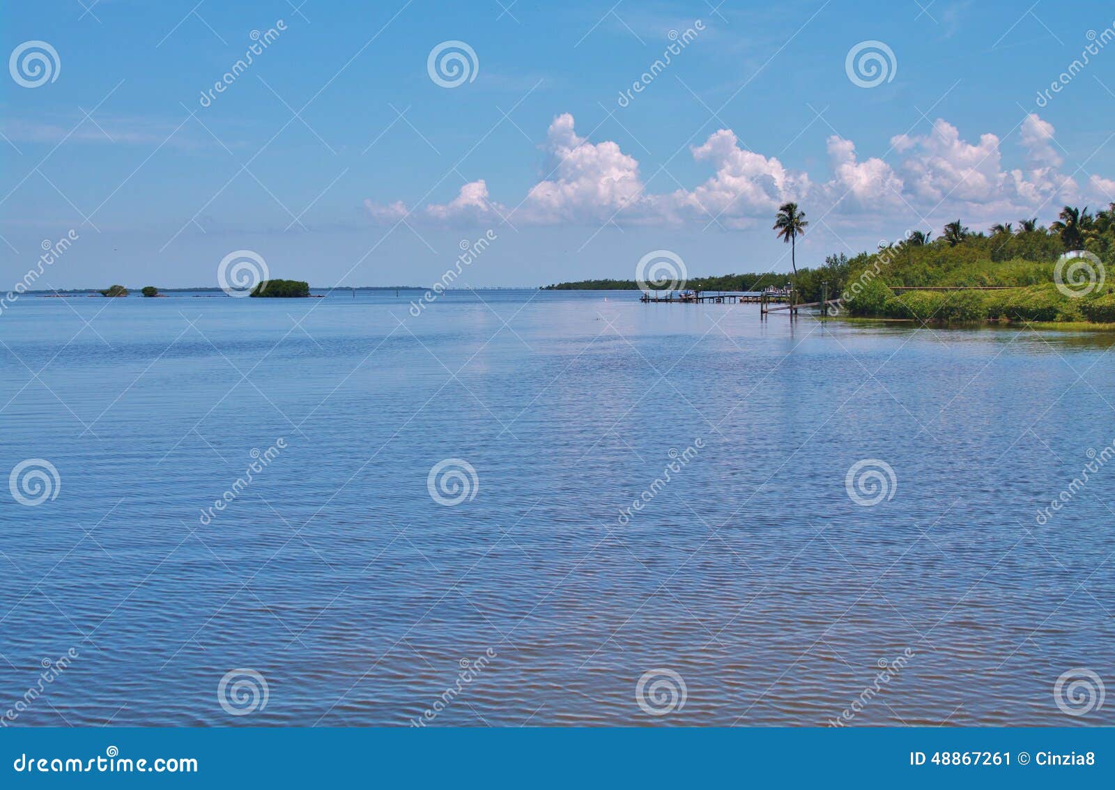 Matlacha stock image. Image of tree, pass, fish, florida - 48867261