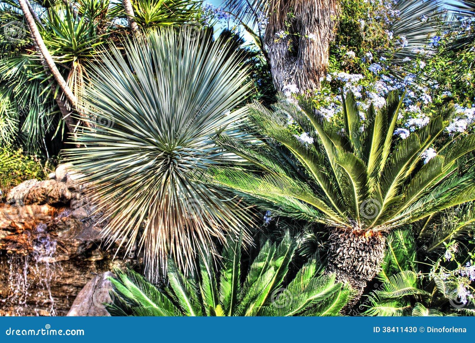 Matorrales De Plantas Tropicales Foto de archivo - Imagen de botánica ...