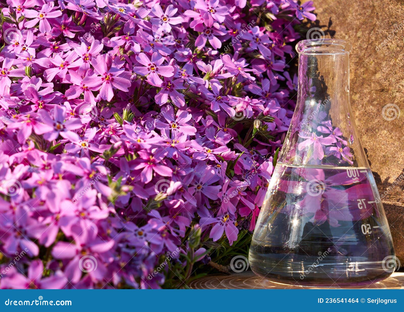 Matraz Con Agua Potable Limpia Foto de archivo - Imagen de claro ...